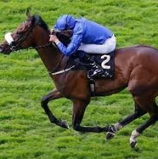 How to pick a winner for horse racing - slypnergear.net